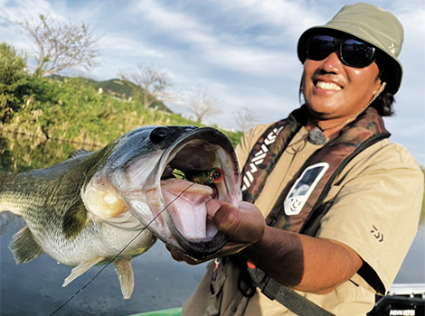 DAIWA ： SWAGGER - Web site